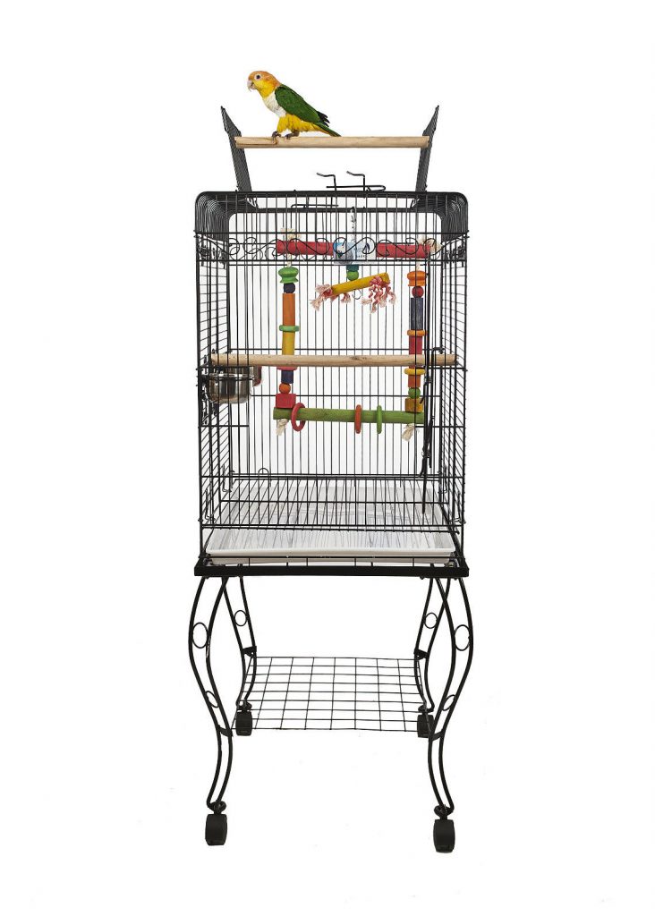 Birds & Parrot Cages - Birds4U