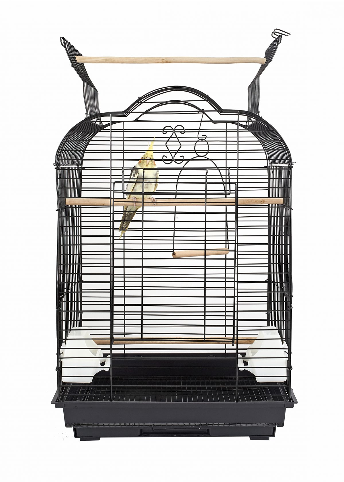 Birds & Parrot Cages - Birds4U