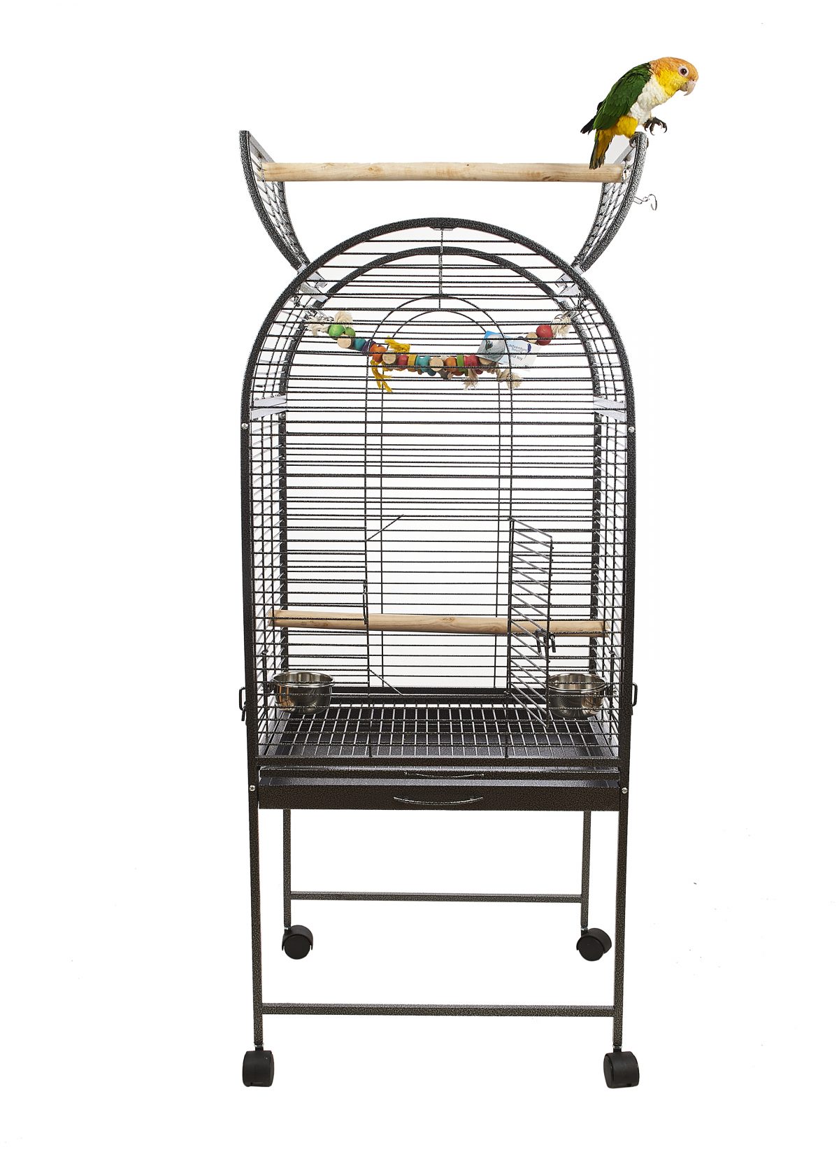 Birds & Parrot Cages - Birds4U