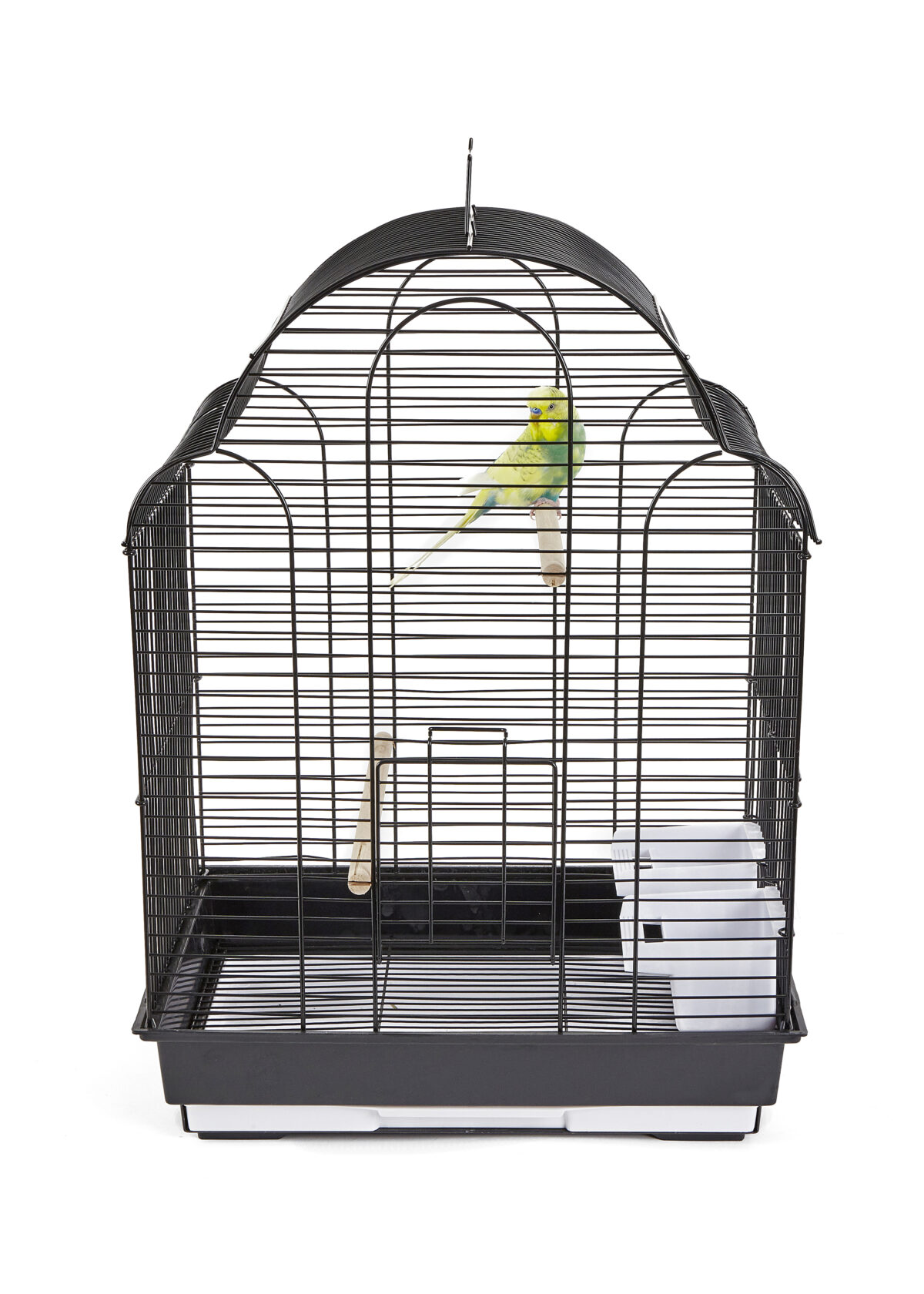 Birds & Parrot Cages - Birds4U